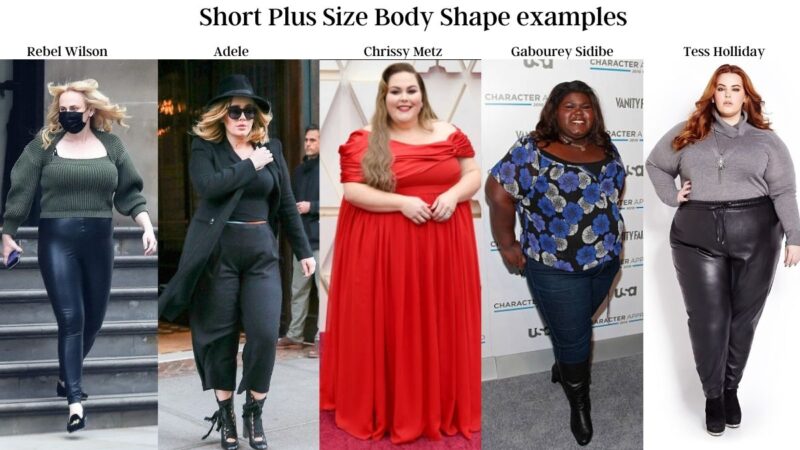Best Types of Pants for Short Plus Size Body Shape - Fashion for Your ...